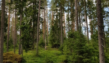 Metsätilat, maatilat ja tontit Suomessa - Hehtaari.fi